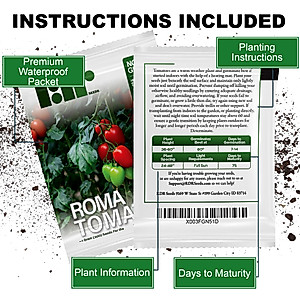 300+ Roma Tomato Seeds - Heirloom Non-GMO USA Grown Premium Seeds for Planting by RDR Seeds