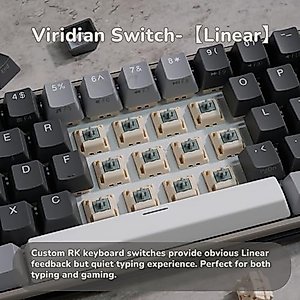 RK ROYAL KLUDGE RK61 Plus Wireless Gaming Keyboard, 60% Percent Mechanical Keyboard with Bluetooth/2.4Ghz/USB Modes, Hot Swappable RGB Keyboard for PC Gamers, Silent Linear Viridian Switches