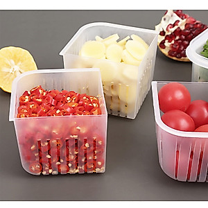 WOHSAO Storage Containers Square Handle Food Storage Organizer Boxes with Lids for Refrigerator, Food Storage Box, Food Storage Containers with Lids, Four-Grid Containers for Ginger Slice