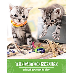 TINDTOP Silvervine Chew Sticks for Cats, 12 Pack Natural Catnip Chew Toys for Kittens Teeth Cleaning, Matatabi Dental Care, Increase Appetite, Calm Cat Anxiety and Stress, Cat Dental Toy