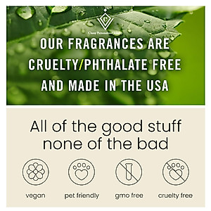 Car Air Freshener Hanging, Essential Oil Diffuser for Car, Car Air Freshener Cute, Long Lasting Air Freshener for Car, Car Fresheners for Women, Made in USA