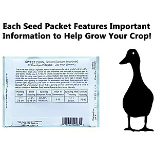 Set of 12 Sweet Corn- Golden Bantam Vegetable Seed Packs - Create a Deluxe Garden - All Seeds are Heirloom - 100% Non-GMO (Sweet Corn- Golden Bantam)