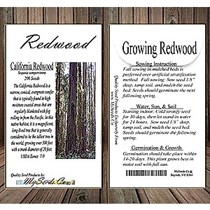 Cedar, Dogwood, Pine, Redwood, Spruce, Tree Seed by MySeeds.Co, You Choose The Color n Quantity (1 Pack, California Redwood - Big Pack)