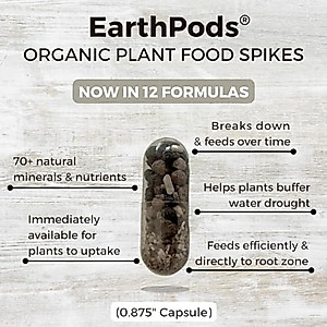 EarthPods (Premium) Organic Fertilizer Spikes for Bamboo & Bonsai - 100 Count - Made in USA