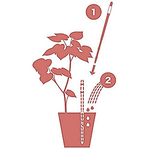 Sustee Aquameter (2 Green, Medium) - Plant Soil Moisture Meter, Monitor, Probe, Indicator - Best for Potted Plants - Package of 2 Sensors