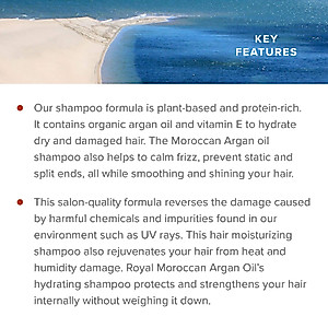 Royal Moroccan Sulfate Free Shampoo | Argan Oil Shampoo | Shampoo for Color Treated Hair | Moisturizing Shampoo Argan Oil Hair Products (500 ml 16.9 oz)