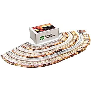 Survival Essentials Garden Heirloom Seed Vault, 100 Variety, Over 17,500 Vegetable, Fruit, and Herbs Seeds, Non-GMO, Non-Hybrid, Plus Free Microgreens Kit