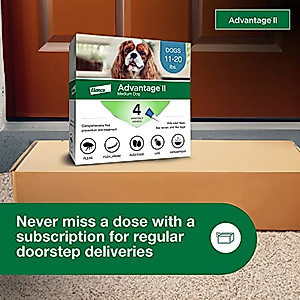 Advantage II Medium Dog Vet-Recommended Flea Treatment & Prevention | Dogs 11-20 lbs. | 4-Month Supply