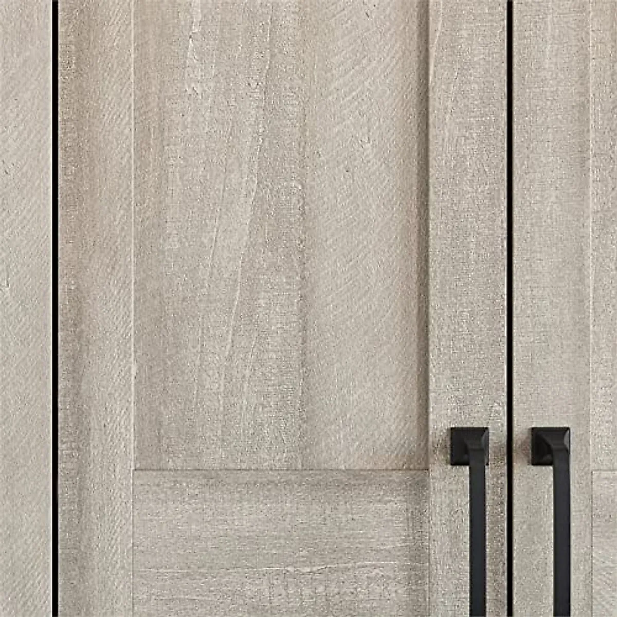 Sauder Miscellaneous Storage Spring Maple Two-Door Storage Cabinet, Spring Maple Finish