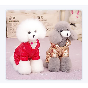 Frieyss Winter Puppy Dog Coat Waterproof Pet Clothes Windproof Dog Snowsuit Warm Fleece Padded Winter Pet Clothes for Small Dogs(Winter Glod, Small)