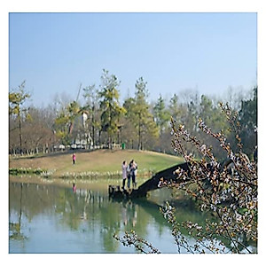 Camera A6000 Mirrorless Digital Camera with 16-50mm Lens + 8GB Card Digital Camera