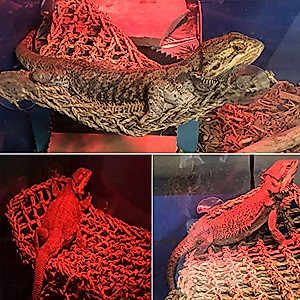 PINVNBY Bearded Dragon Hammock,Reptile Lizard Lounger Natural Seagrass Habitat Decoration Reptiles Tank Accessories Jungle Climber Vines Flexible Leaves Climbing Decor for Gecko Chameleon Snakes