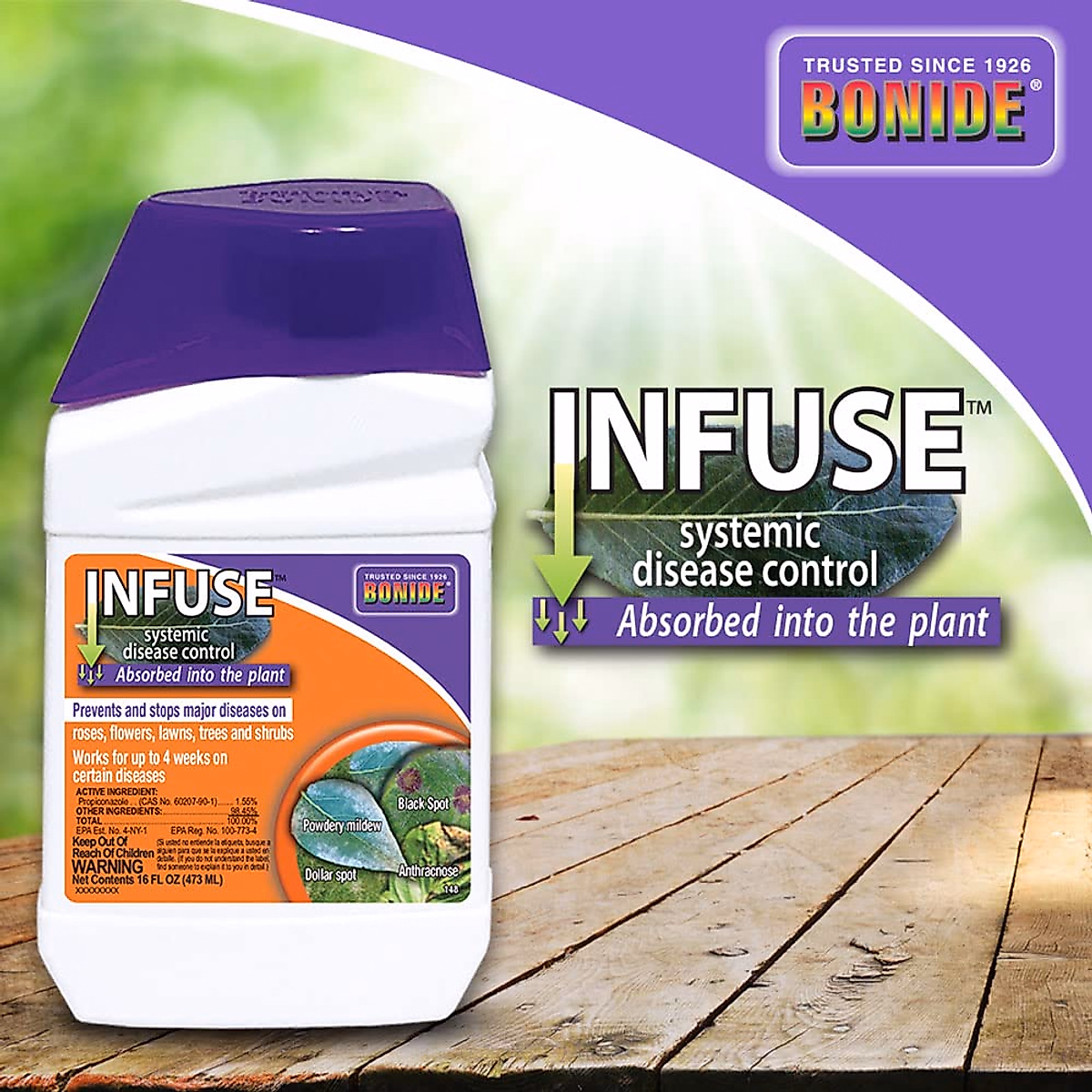 Bonide Infuse Systemic Disease Control, 16 oz Concentrated Solution for Plant Disease Control, Long Lasting & Waterproof