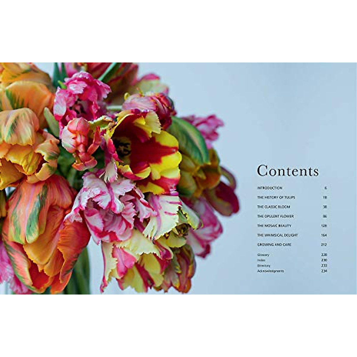 Tulips: Beautiful Varieties for Home and Garden