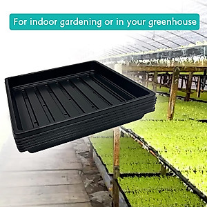 Apatal 1010 Seed Starting Trays, 12 Pack Garden Growing Trays with Drain Holes Reusable Microgreens Seed Plastic Tray Plant Germination Tray