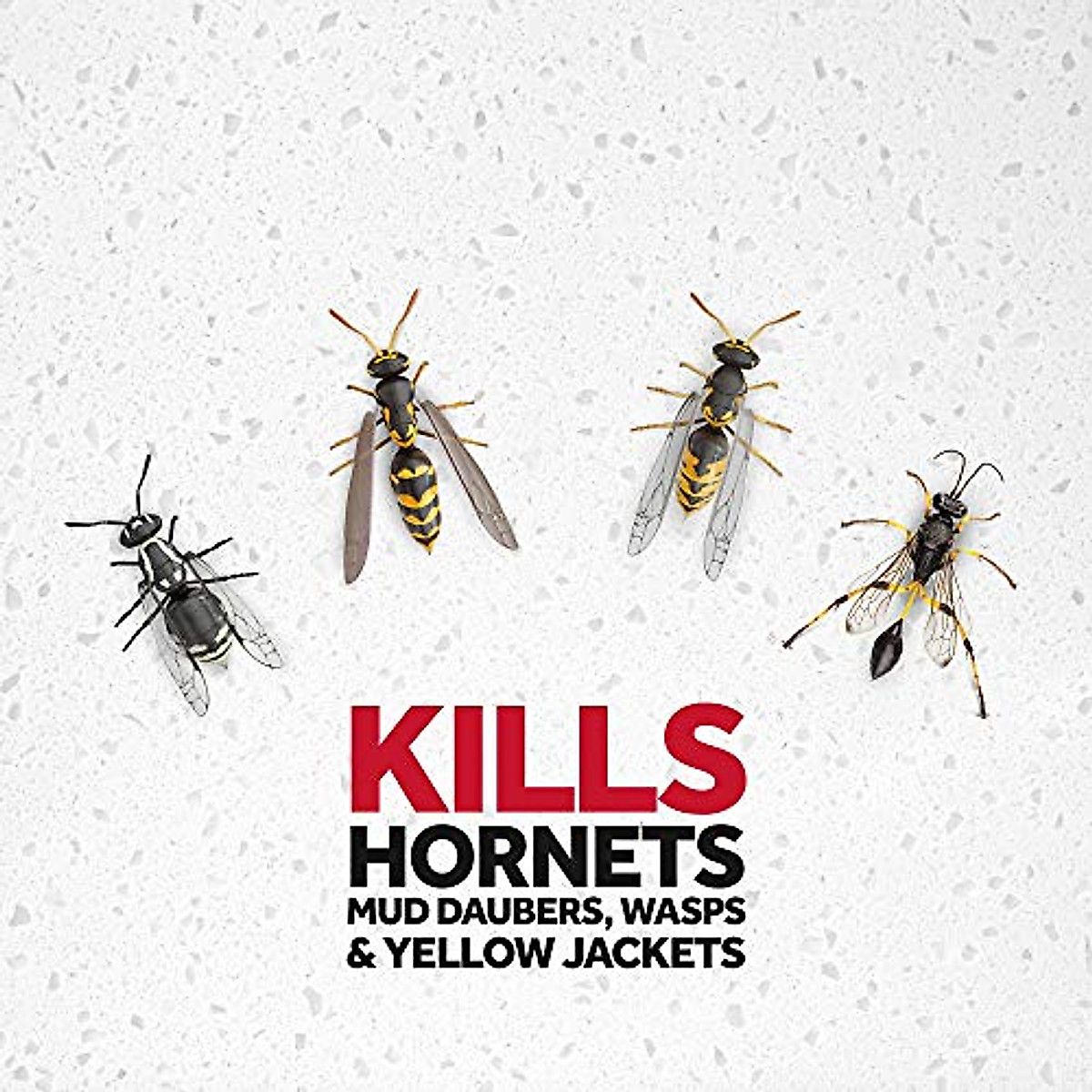 Raid Wasp and Hornet Killer Spray, Kills the entire nest, Kills Paper Wasps, Yellow Jackets, Mud Daubers and more, 14 oz