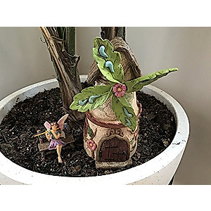 Patio Eden Miniature Fairy Garden House Kit - Mini Fairy Figurines - Indoor or Outdoor 3 Piece Accessory Set