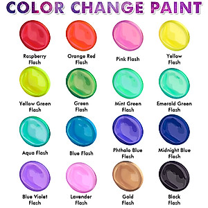 Shuttle Art Color Change Acrylic Paint Set, 16 Colors Chameleon Colors Acrylic Paint in Bottles (60ml/2oz), Non-Toxic for Artists, Beginners and Kids on Rocks, Crafts, Canvas, Wood, Fabric, Ceramic