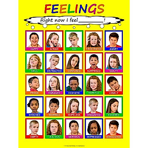Laminated 18x24 Child Feelings Poster