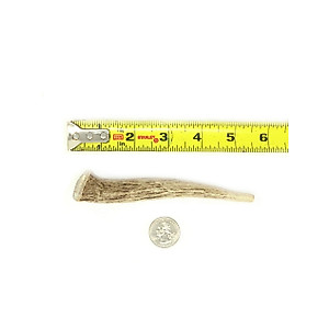 Natural Dakota Premium Deer Antler Dog Chew Toys (Small) Half-Pint