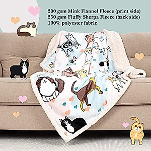 Cat Blanket - 28 Cute Cat Companions on a Sumptuously Soft 50x60 Inch Cat Lover Throw Blanket - The Most Beloved Cat Gifts for Cat Lovers Everywhere