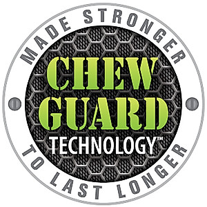 goDog Dragons with Chew Guard Technology Durable Plush Squeaker Dog Toy, Large, Seafoam, Plush Dog Toy