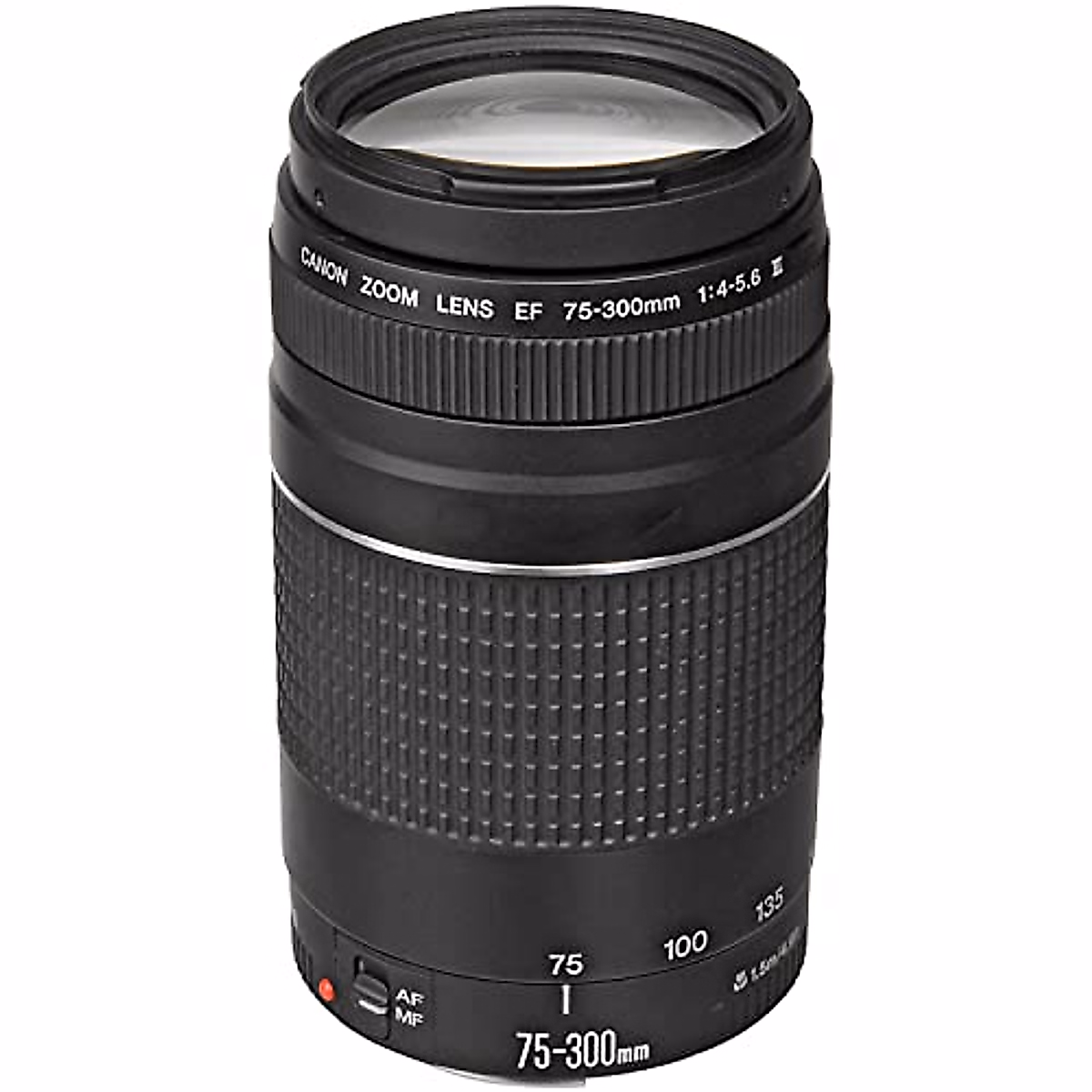 Camera Bundle for Canon Rebel T7 with EF-S 18-55 mm f/3.5-5.6 is II and EF 75-300mm f/4-5.6 III Lens + Accessories Bundle (128GB, 50in Tripod, Extra Battery, and More)