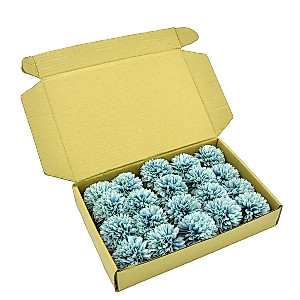 20Pcs Artificial Fake Flower Plants Silk Chrysanthemum Ball Hydrangea Arrangements Wedding Bouquets Decor Home Kitchen Garden Party Table Floral DIY (Light Pink&Dark Pink)