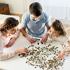 Sung Kim Art - Jigsaw Puzzle 1000 Piece for Adults (Coastal View II)