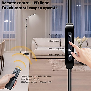 Dragon-Hub Bright Led Floor Lamp with Remote, Floor Light Touch, 3 Colors 5 Brightness 10 Mins Timer, Eyelash Lamp for Eyelash Extensions Lash Light Reading Lamp (Black - R)