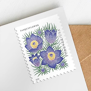 Mountain Flora Flower US First Class Forever Postage Stamps Celebrate Beauty Wedding (1 Strip of 10)