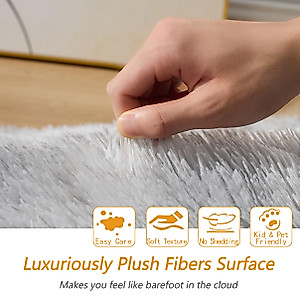 Soft Area Rugs for Living Room 5.2 x 7.5Ft Fluffy Fuzzy Shag Shaggy Carpet Modern Plush Bedroom Rug, Non-Slip Plush Fluffy Furry Fur Rugs for Living Room Bedroom Home Decor