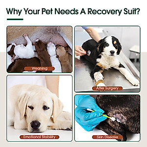 Kuoser Dog Surgery Suit Female Spay, Dog Recovery Suit Male Neuter, Dog Clothes Onesie for Surgery Anti Licking Abdominal Wounds Pet Puppy Surgical Recovery Bodysuit Shirt, Substitute E-Collar & Cone