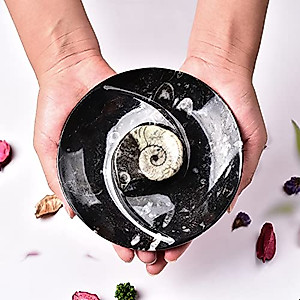 AMOYSTONE Morocco Fossil Bowls Natural Decorative Bowls Orthoceras Fossil Plate Round Stone Tray Unique Quartz Decorative Fossil for Collection, Jewelry Plate, Home Decor 5.5"