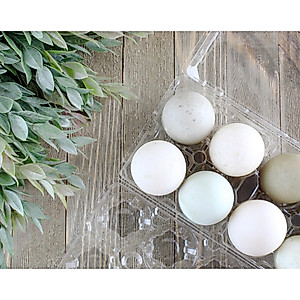 Cornucopia Duck Egg Cartons (8-Pack); Plastic Jumbo Egg Containers for Duck and Turkey Egg Storage