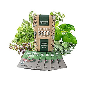 Organic Italian Herb Garden Seed Collection - 5 Non-GMO, Organic Seed Packets - Oregano, Thyme, Basil, Sage, Cilantro - Kitchen Culinary Herb Gardening Seeds