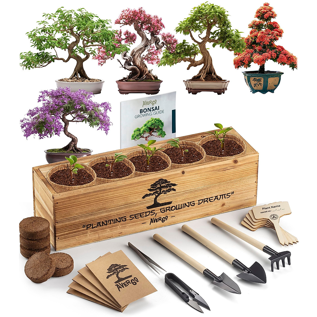 Avergo Bonsai Tree Kit – 5X Unique Japanese Bonzai Trees | Complete Indoor Bonsai Starter Kit for Growing Bonsai Plants with Tools & Planters – Gardening Gifts for Women & Men