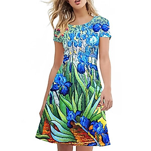 POLERO Van Gogh Irises Dress for Women Oil Painting Print Dress for Casual Summer Short Sleeved Dresses Size XL