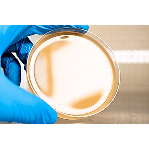 Heat-N-Pour Nutrient Agar | Cleans Spore Syringes | Sterilized and Ready to Use | Just Heat And Pour | For Petri Dishes and Cloning Mushrooms (125ml Bottle)