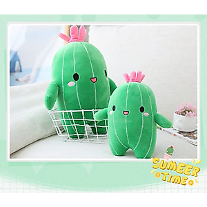 NatureMan Cactus Stuffed Plant Plush Toy with Smile Face Super Cute Soft Cactus Plush Pillow Creative Plush Plant Cactus Decoration Great Birthday Gift for Kids Girls Boys (Small)