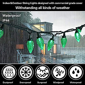 Silvom Green Christmas Lights, 25 LED Festive Lights, 16ft Faceted C9 String Lights, 120V UL Certified Indoor & Outdoor String Lights for Easter, Tree, Garden, Party, Patio, Fence, Holiday Decoration