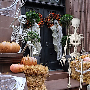 36" Posable Halloween Skeleton, 3FT Skeleton Halloween Decorations, Full Body Lifelike Skeleton for Graveyard Decor, House Haunted, Halloween Prop