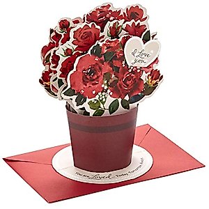 Hallmark Paper Wonder Pop Up Valentines Day Card, Displayable Bouquet (Today, Tomorrow, Always)