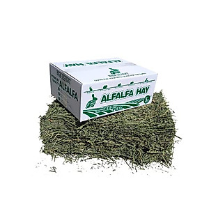 High Desert Alfalfa Hay - Dried Natural Alfalfa Hay for Rabbits, Guinea Pigs, Chinchillas, and Ferrets - Protein and Fiber Rich Food for Small Animals - Healthy Pet Food