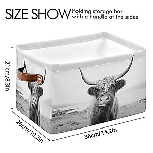 xigua Scottish Highland Cow Print Storage Bin Collapsible Canvas Storage Basket Closet Organizer with Handles for Bedroom Nursery Shelves Laundry Room, 1 Pack