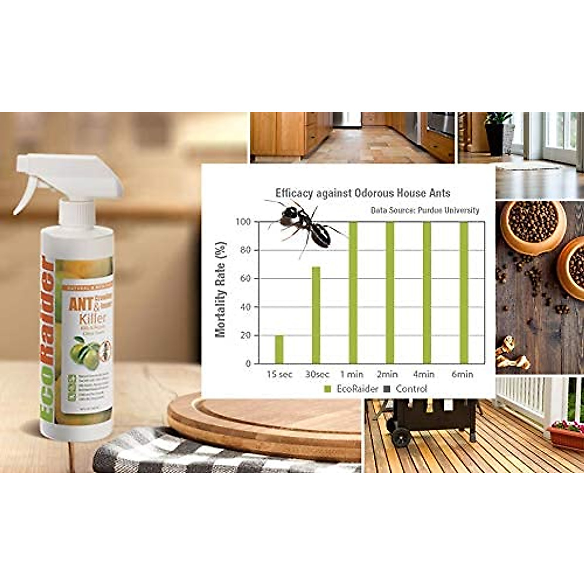 EcoVenger by EcoRaider Ant Killer & Crawling Insect Killer (Citrus Scent) 16oz, Kills Fast, Also Kills Spiders, Centipedes & More, Repels with Residual, Natural & Non-Toxic, Children & Pets Safe