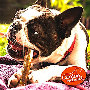 Canine Naturals Peanut Butter Chew - Rawhide Free and Dog Treats - Made from Real Peanut Butter - All-Natural and Easily Digestible - 10 Pack of 5 Inch Stick Chews