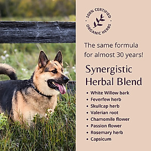 Glacier Peak Holistics HerbAprin - Natural Pain Relief for Dogs, Organic Herb Blend for Arthritis, Aches & Pains, and Hip & Joint Discomfort - 3oz