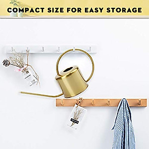 Remiawy Watering Can Indoor Outdoor Stainless Steel Watering Cans for House Plants Long Spout Water Can for Succulent Bonsai Garden Flower(40oz/1300ml)