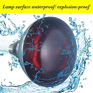BONGBADA 2 Pack Heat Lamp Bulb R40 250 Watt Roasted Red Infrared Explosion Proof Glass Heat Lamp Bulb for Reptiles, Chicks, Food, Bathroom, and Light Therapy, Use E26 Base